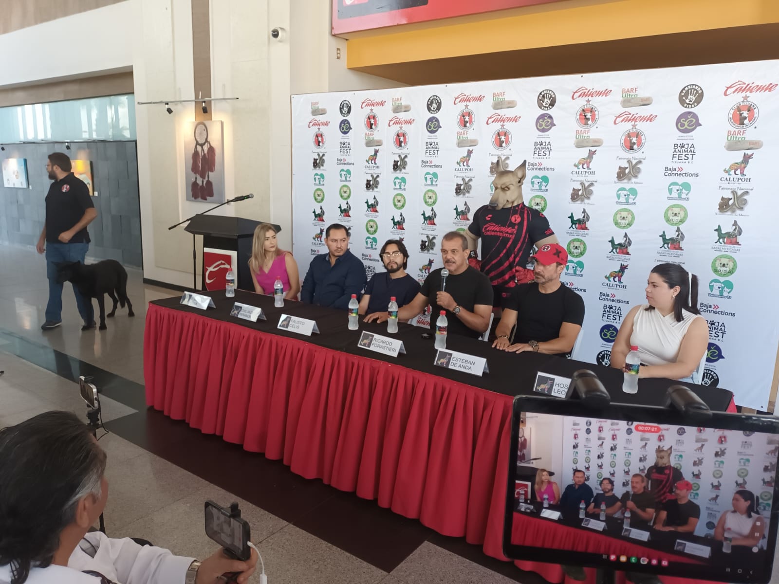 Anuncian el Baja Animal Fest donde presentarán el documental “El Camino ...